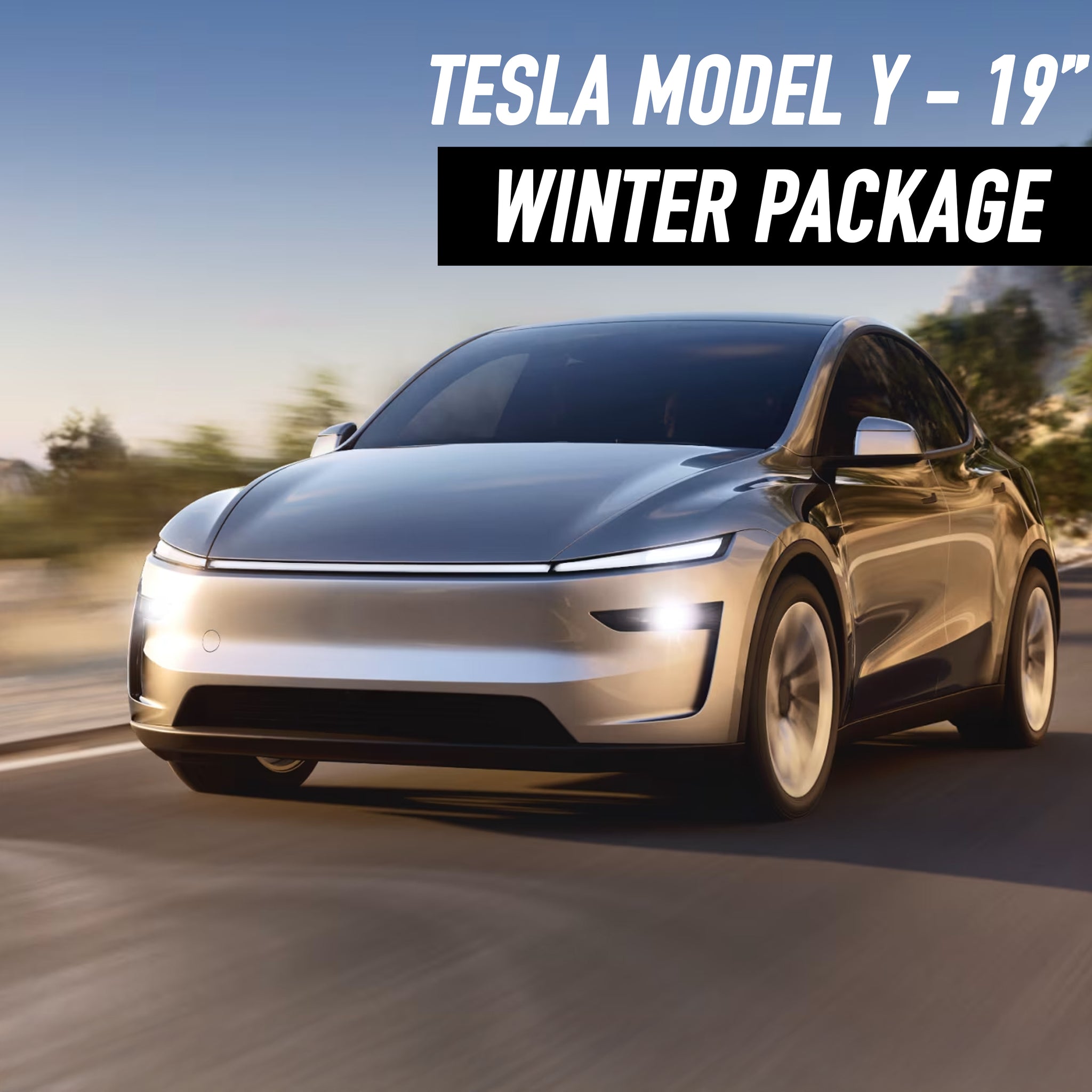 Tesla Model Y 19" Winter Package