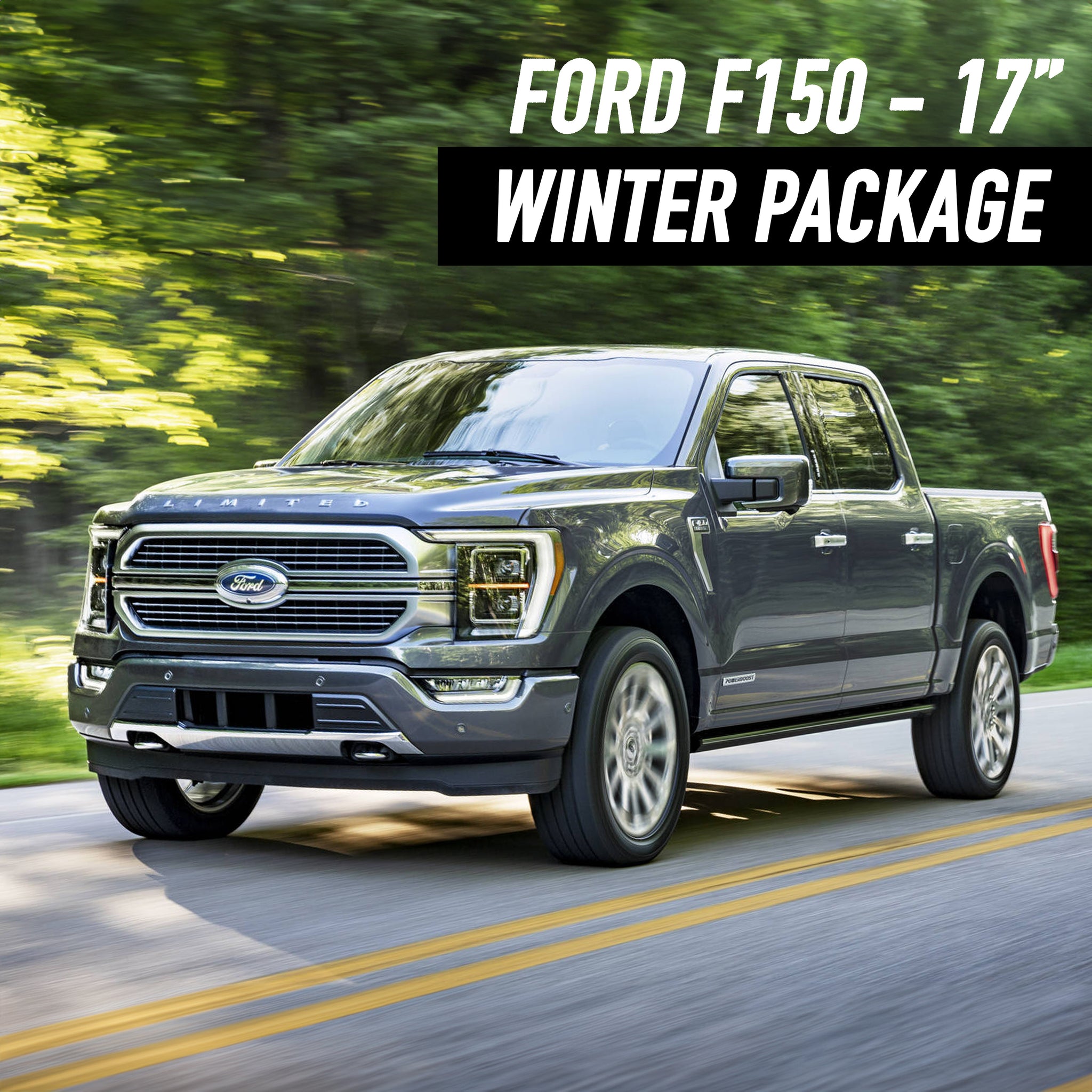 Ford F150 (2021+) 17" Winter Package