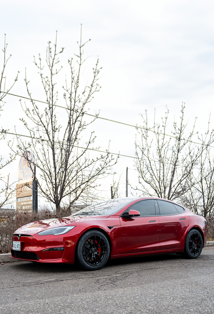 T1 Motorsports | Canada | All Car Performance Needs